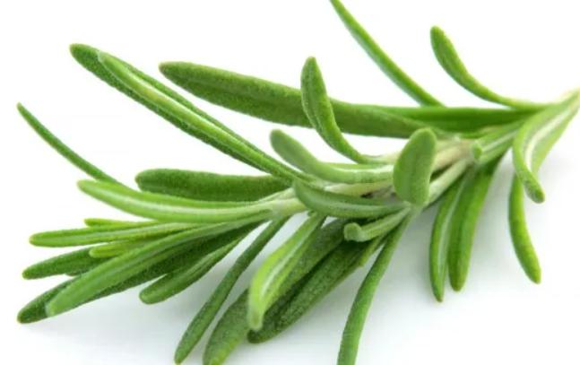 9 Remedios caseros para rozaduras graves de bebé