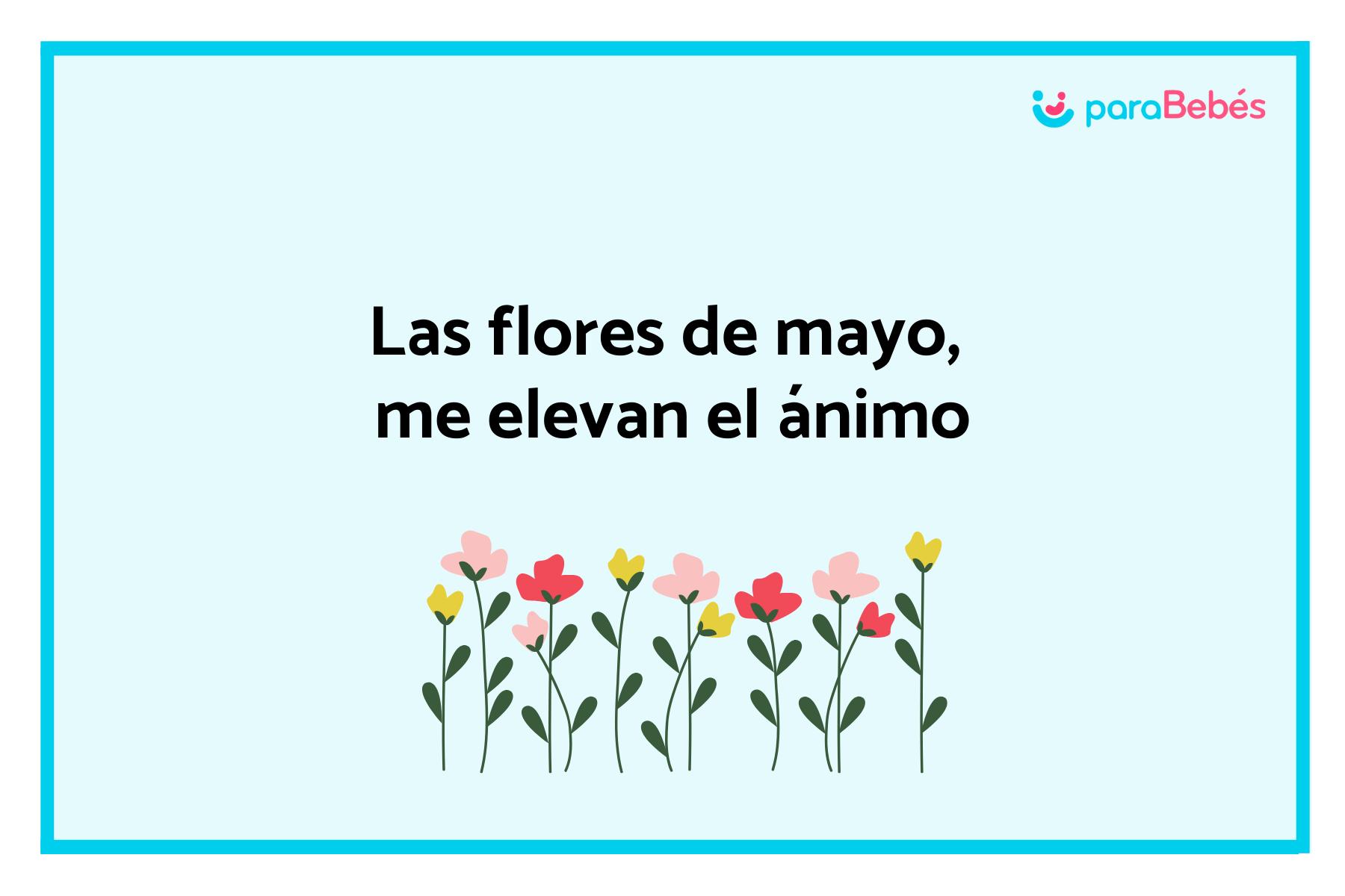 40 REFRANES CORTOS para NIÑOS - Con su significado