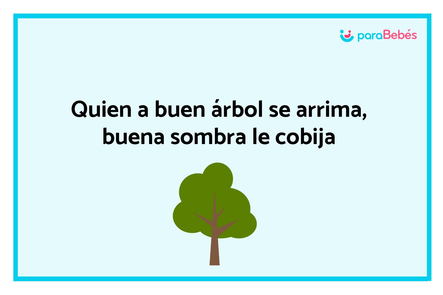 40 REFRANES CORTOS para NIÑOS - Con su significado