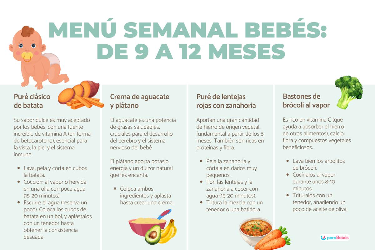 10 Recetas de comida para bebés de 9 a 12 meses