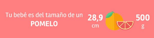 Semana 23 de Embarazo: Síntomas, Desarrollo, Cambios y Cuidados