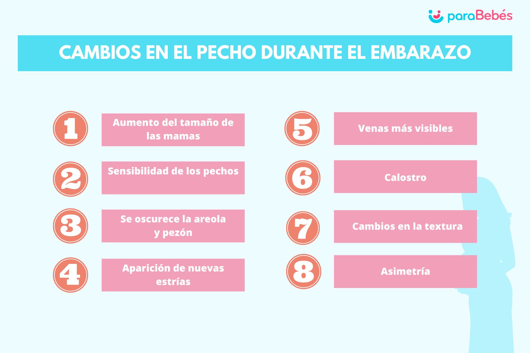 8 Cambios en el pecho durante el embarazo