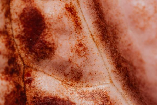 ¿Se puede comer la placenta después del parto? - ¡Sí!