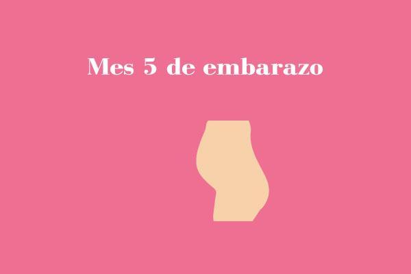 Evolución de la BARRIGA en el EMBARAZO mes a mes