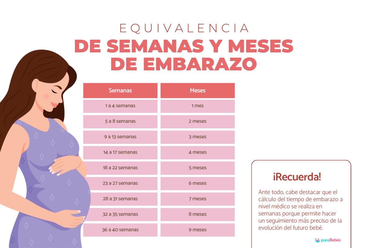 Calculadora de semanas y días de embarazo: exactas y muy fiable