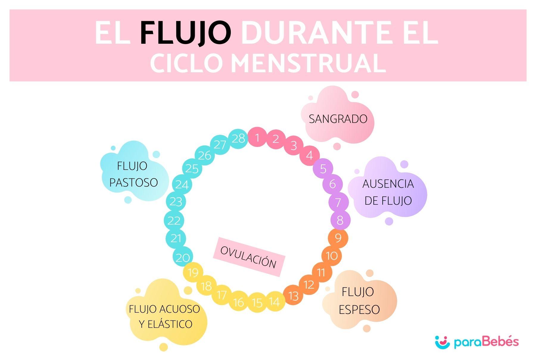 Cómo es el flujo en las primeras semanas de embarazo - Color y consistencia