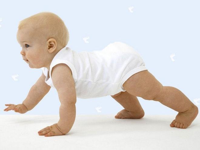 10 Tipos de gateo y su significado