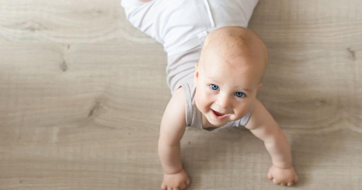 10 Tipos de gateo y su significado