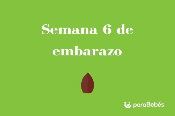 Semana 6 de Embarazo: Síntomas, Desarrollo, Cambios y Cuidados